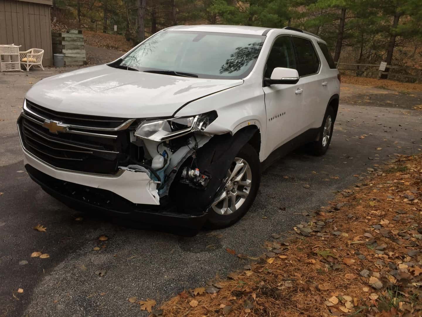 What Repairs Are Needed After Hitting a Deer? | Okoboji Motor Company