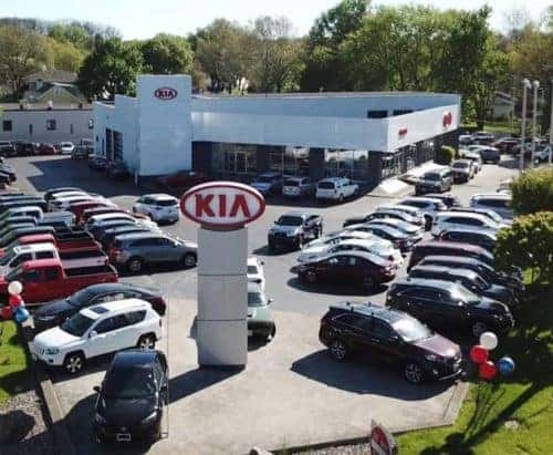 Vision Auto Group Staff | Rochester